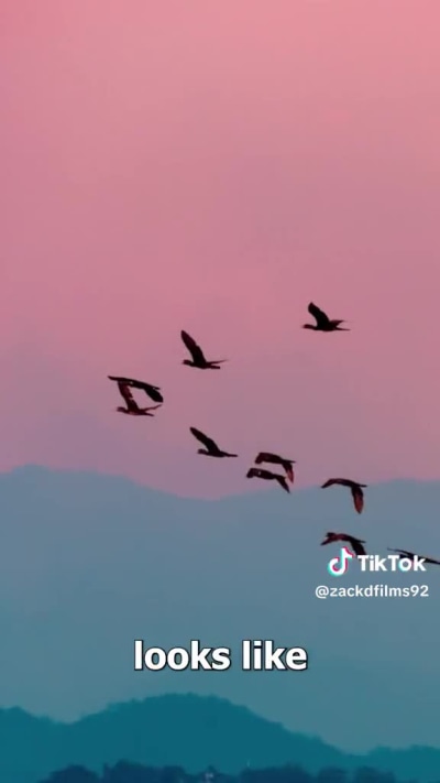 High-quality graphic design for your youtube thumbnail | Upwork