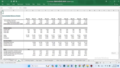 Design financial modelling as per client requirement | Upwork