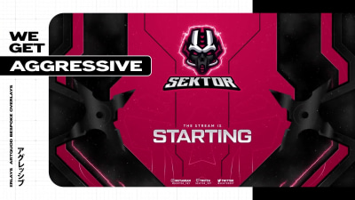 A custom Twitch | Youtube | Kick Overlay Package | Upwork