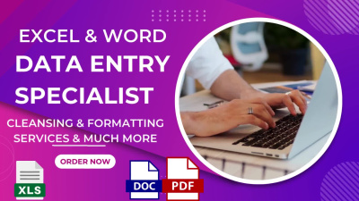 Reliable Data Entry Solutions | Excel Data Cleaning & Formatting Services | Upwork