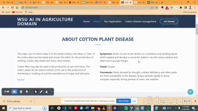 Cotton Disease Prediction Using Deep Learning Machine Learning | Upwork