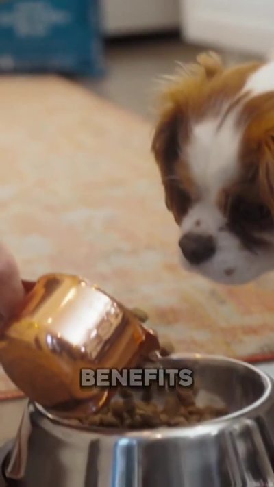 Social media video ads delivered to you. | Upwork