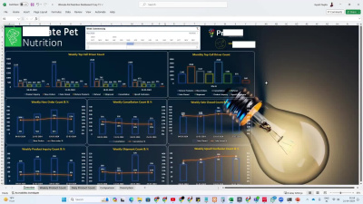 A super sexy Microsoft Excel dashboard | Upwork