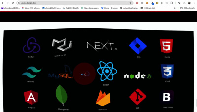 A fantastic and attractive Portfolio | Upwork