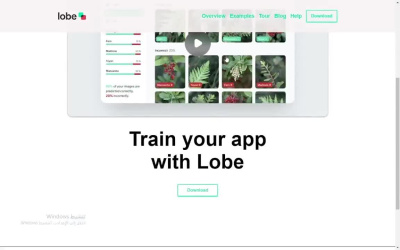 A meticulously designed fully responsive website | Upwork