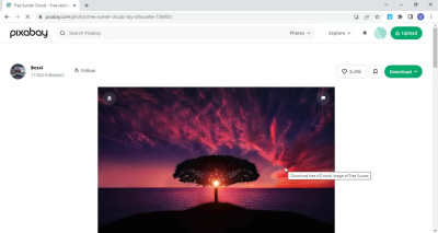 Makes web automation with uivision and python | Upwork