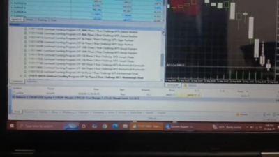 High frequency, trading bot, bot, HFT Bot, Forex EA, forex trading bot ...