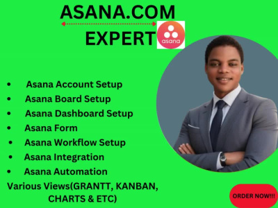 Asana workspace setup asana consultant, asana project manager, asana ...