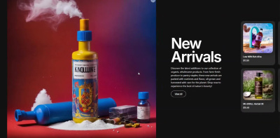 A unique, visually appealing web design that aligns with your brand ...