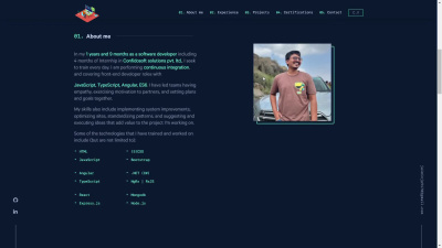 A fully functional, visually appealing, and responsive portfolio website. | Upwork