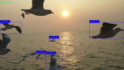 DL Solutions: Image Classification, Segmentation, and Object Detection ...