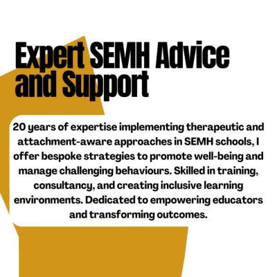 Expert Support on SEMH Behaviour | Upwork
