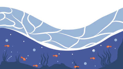 A high-quality, 2d whiteboard video With custom animations, | Upwork