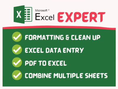 Accurate Excel Data Entry, Cleaning & Formatting Services You Can Trust ...