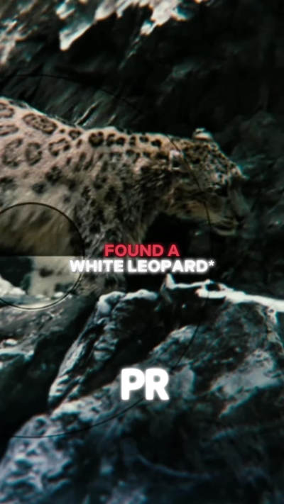 High-Impact Video Editing for Engaging, Professional Content | Upwork