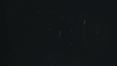 Receive a ready-made project that will help you promote | Upwork