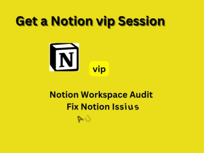 Get a Notion VIP day with me to AUDIT & STREAMLINE your Notion ...