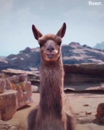 Realistic cgi animal models, 3d animal rigging, cgi animal animation ...