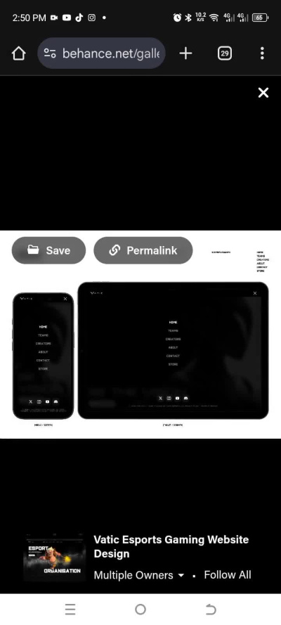 Website create HTML CSS JavaScript other themes other content | Upwork