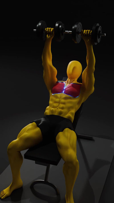 3d exercise animation, 3d workout video, 3d fitness, and 3d gym ...