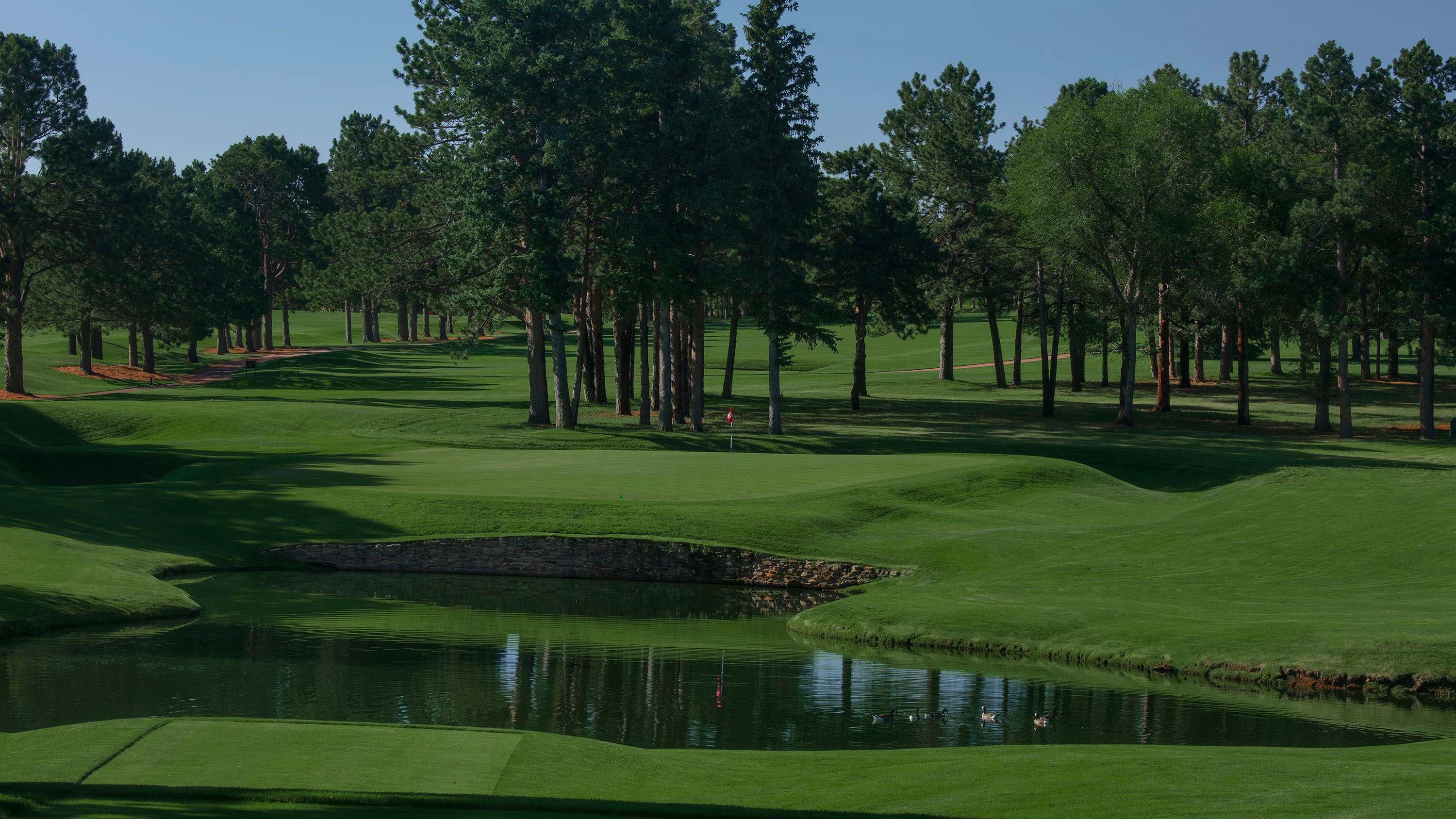 2025 U.S. Senior Open Golf Championship: Player Stats
