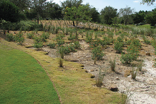Naturalized Areas: Beauty And The Beast