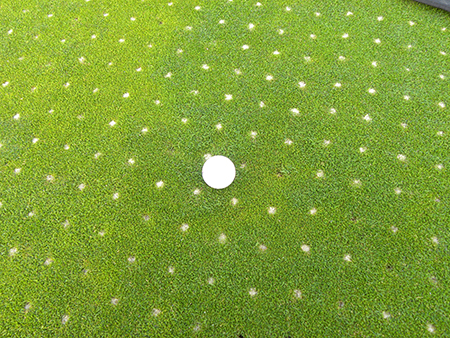 Why Do We Always Aerate When The Greens Are Perfect?