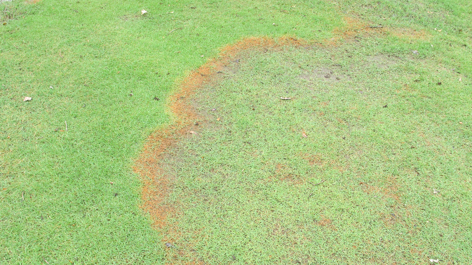 When It Rains, It Pours