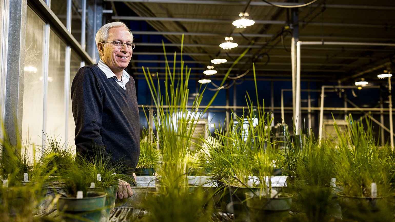 Dr. Bruce Clarke to Receive 2016 USGA Green Section Award