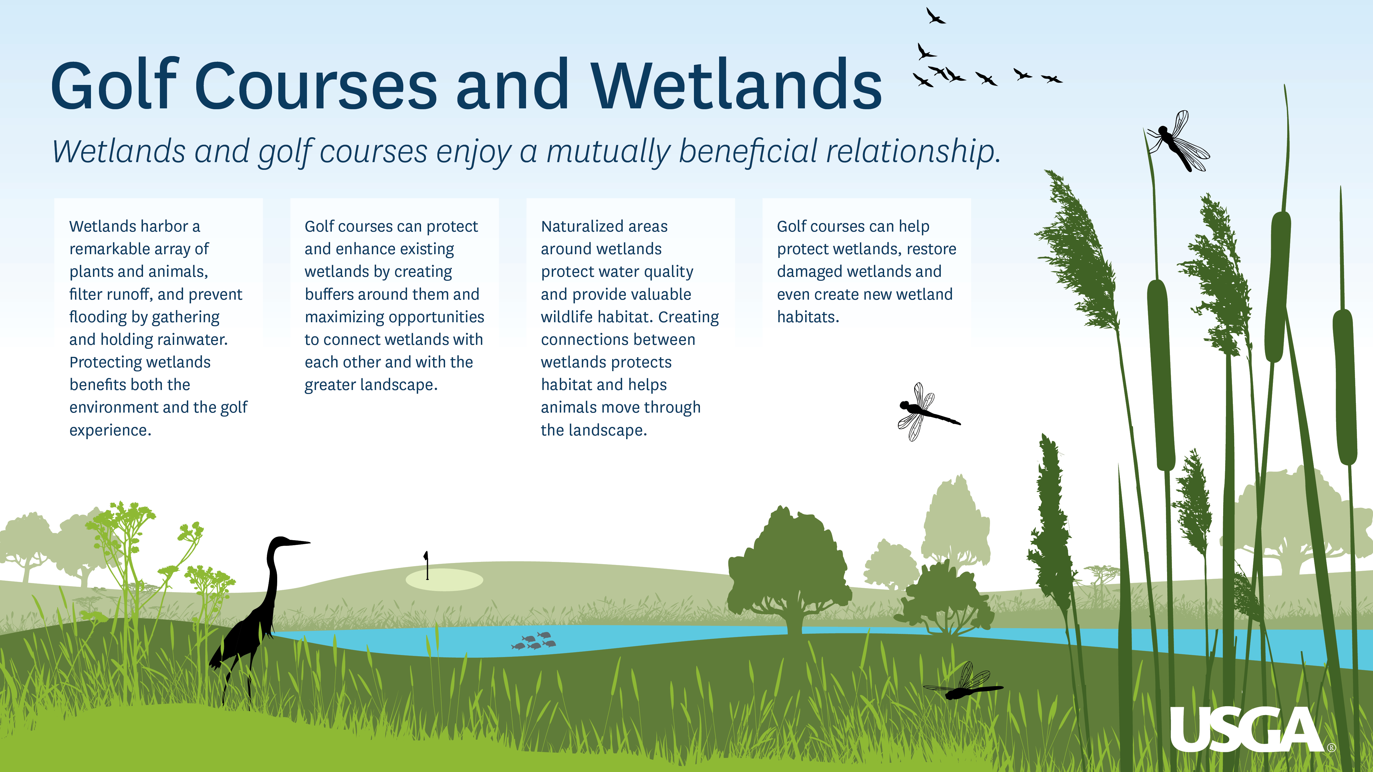 Infographic: Golf Courses and Wetlands