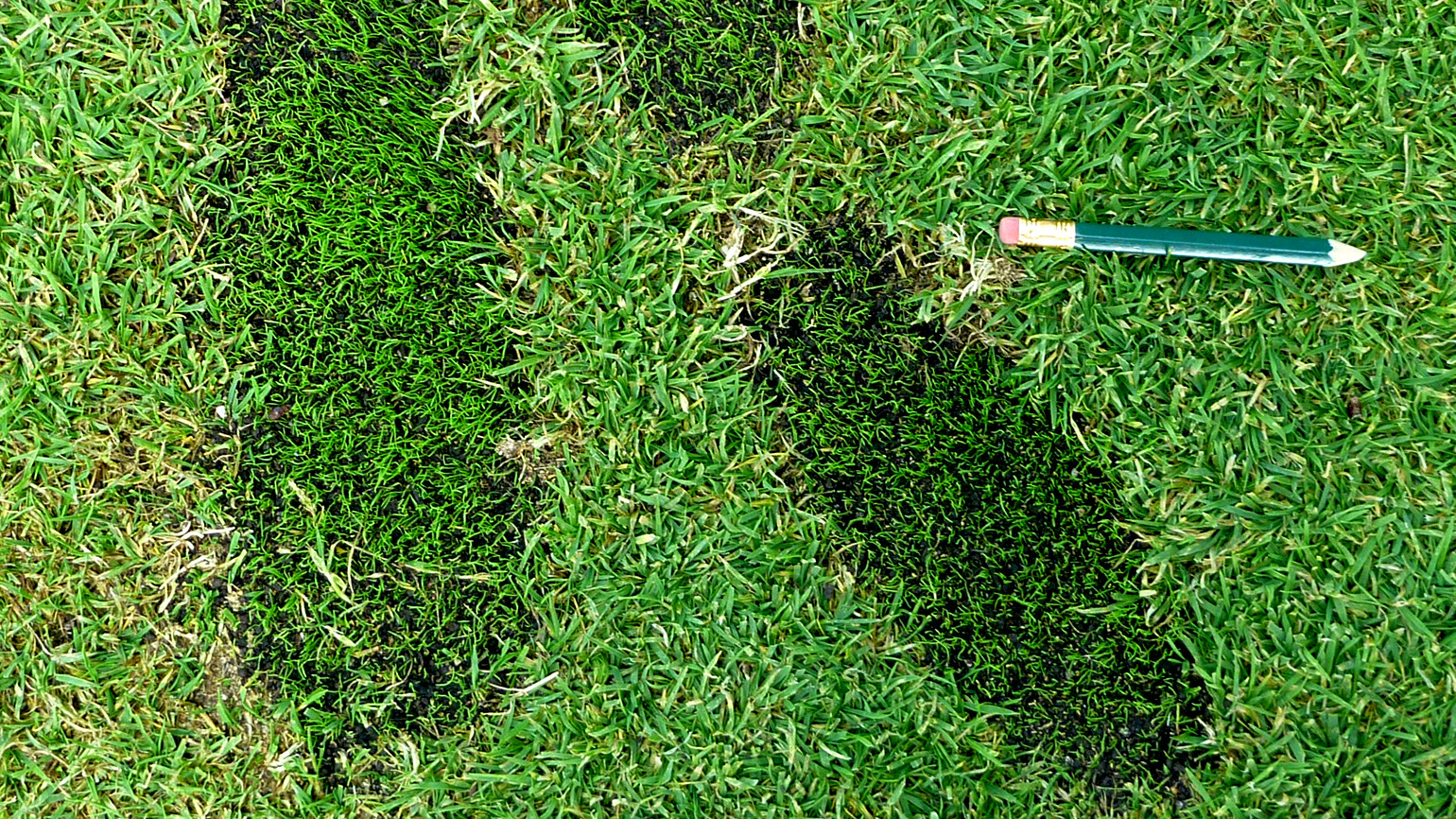 Keep A Step Ahead Of Divots