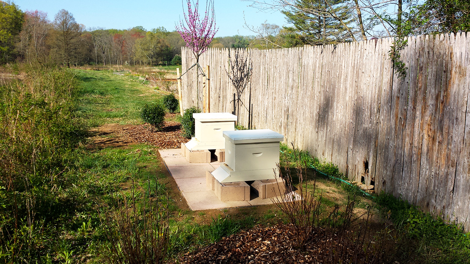 On-Course Apiary Supports Pollinators And Helps Evaluate Management ...