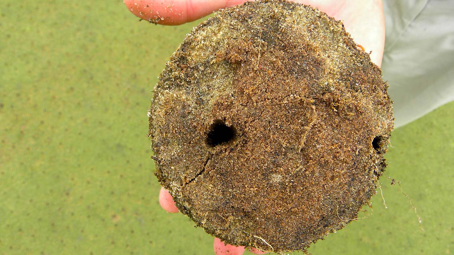 Fall Aeration: A Look Behind The Scenes