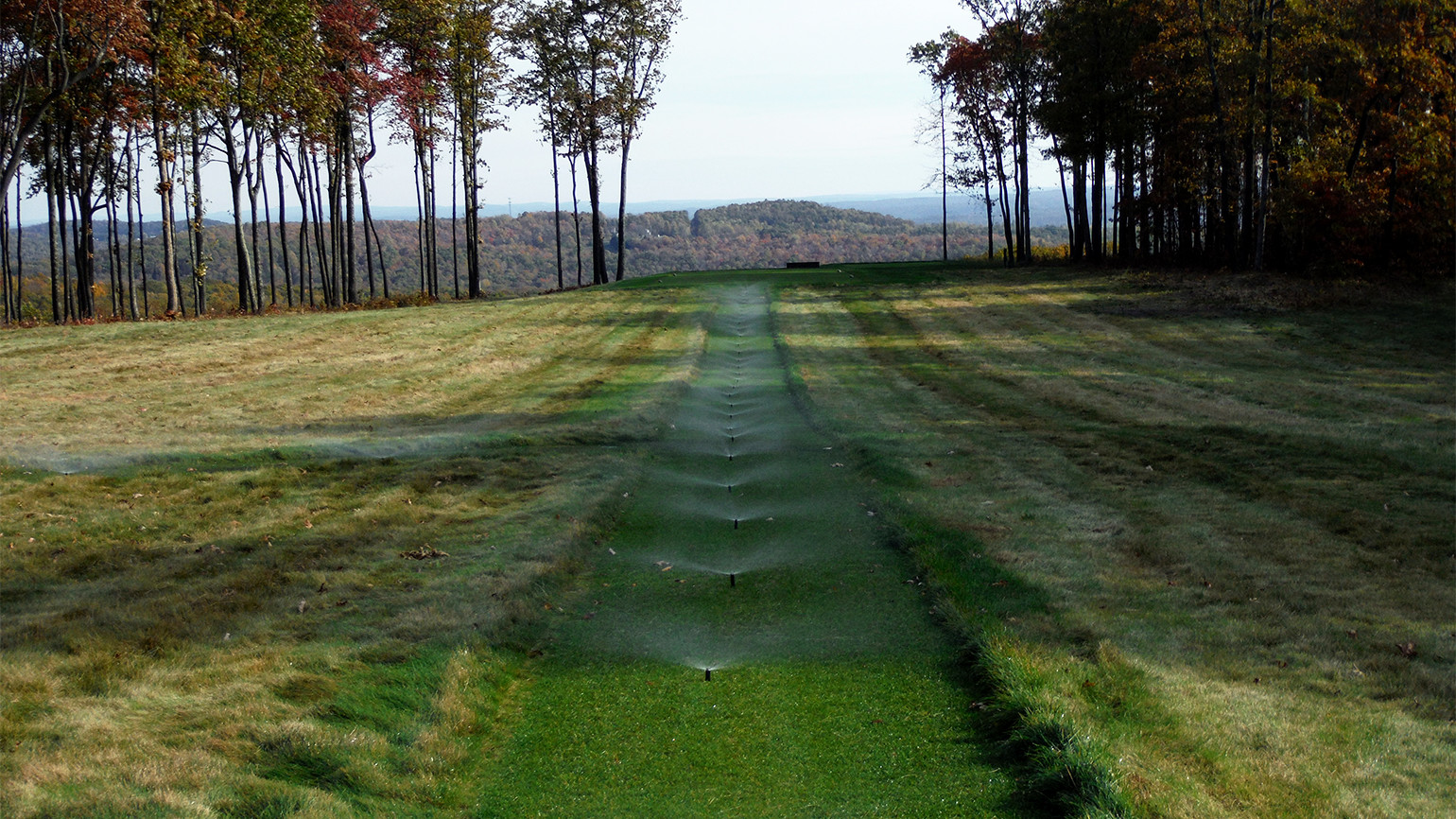 Utilizing Mist Heads For Precision Irrigation