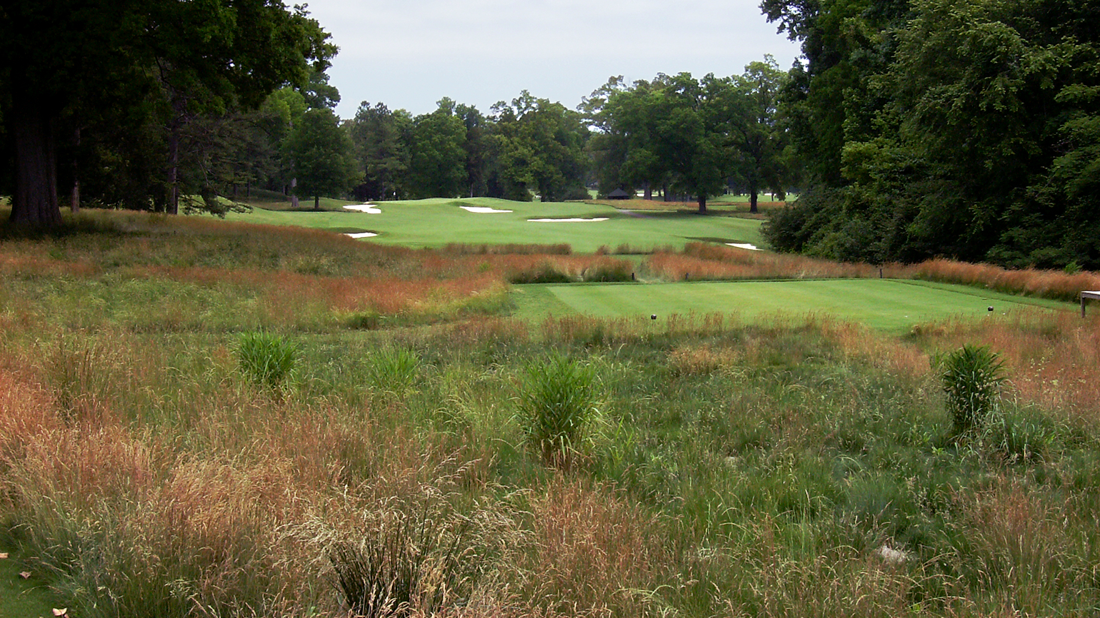 Converting Maintained Turf To Native Grasses