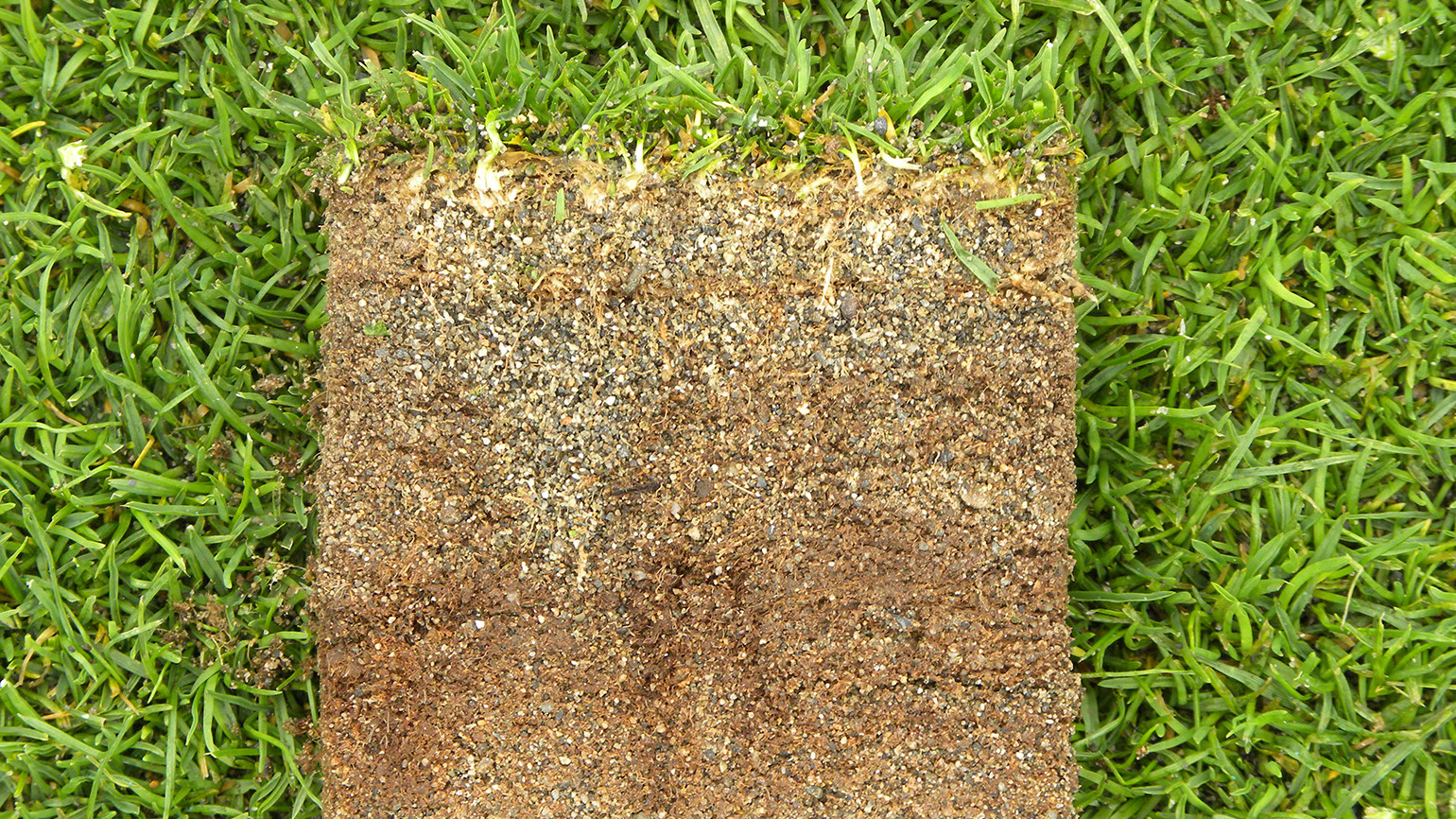 Using Wetting Agents To Save Water And Improve Turf Conditions