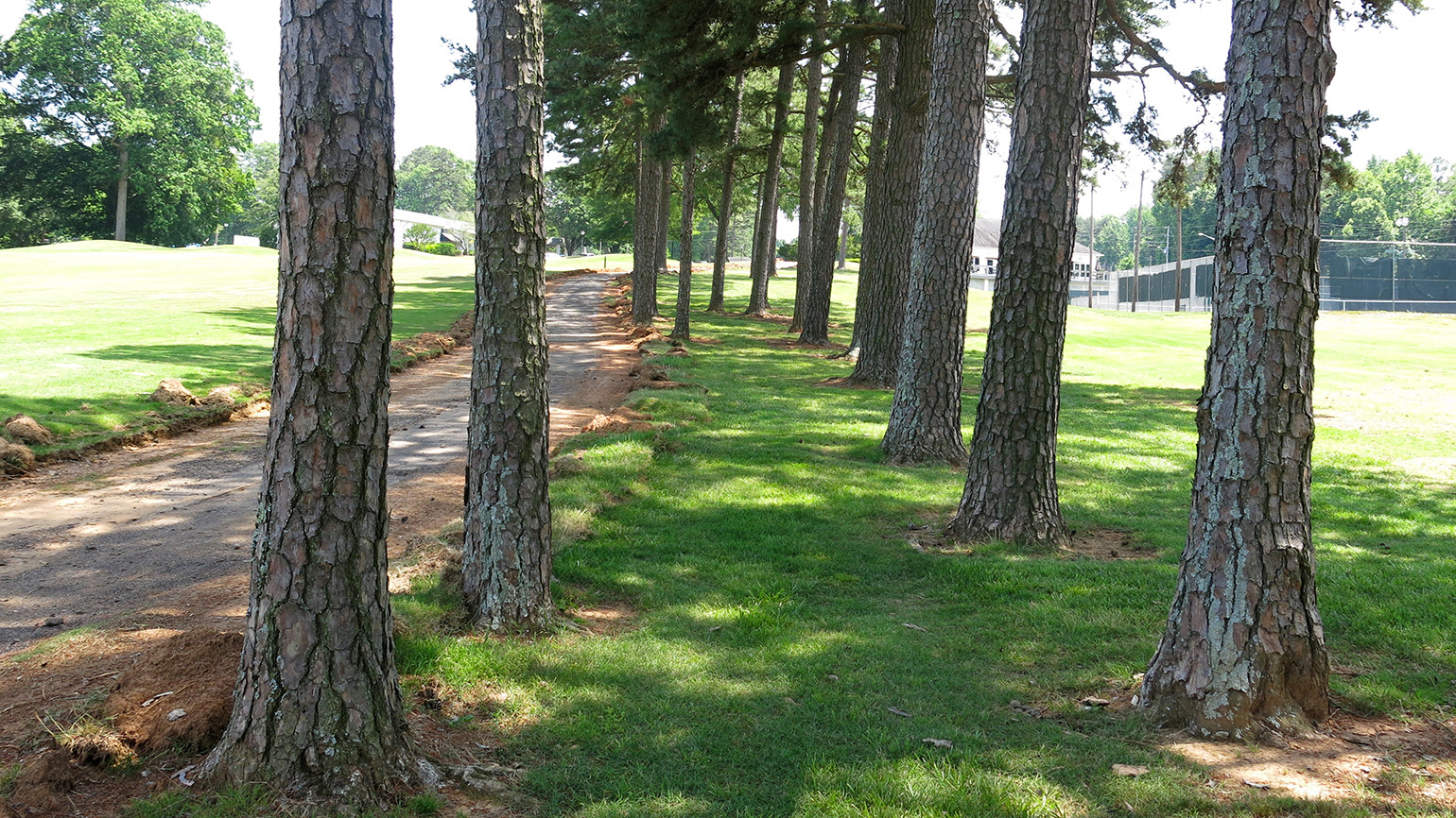 Tree Management To Protect Renovated Cart Paths