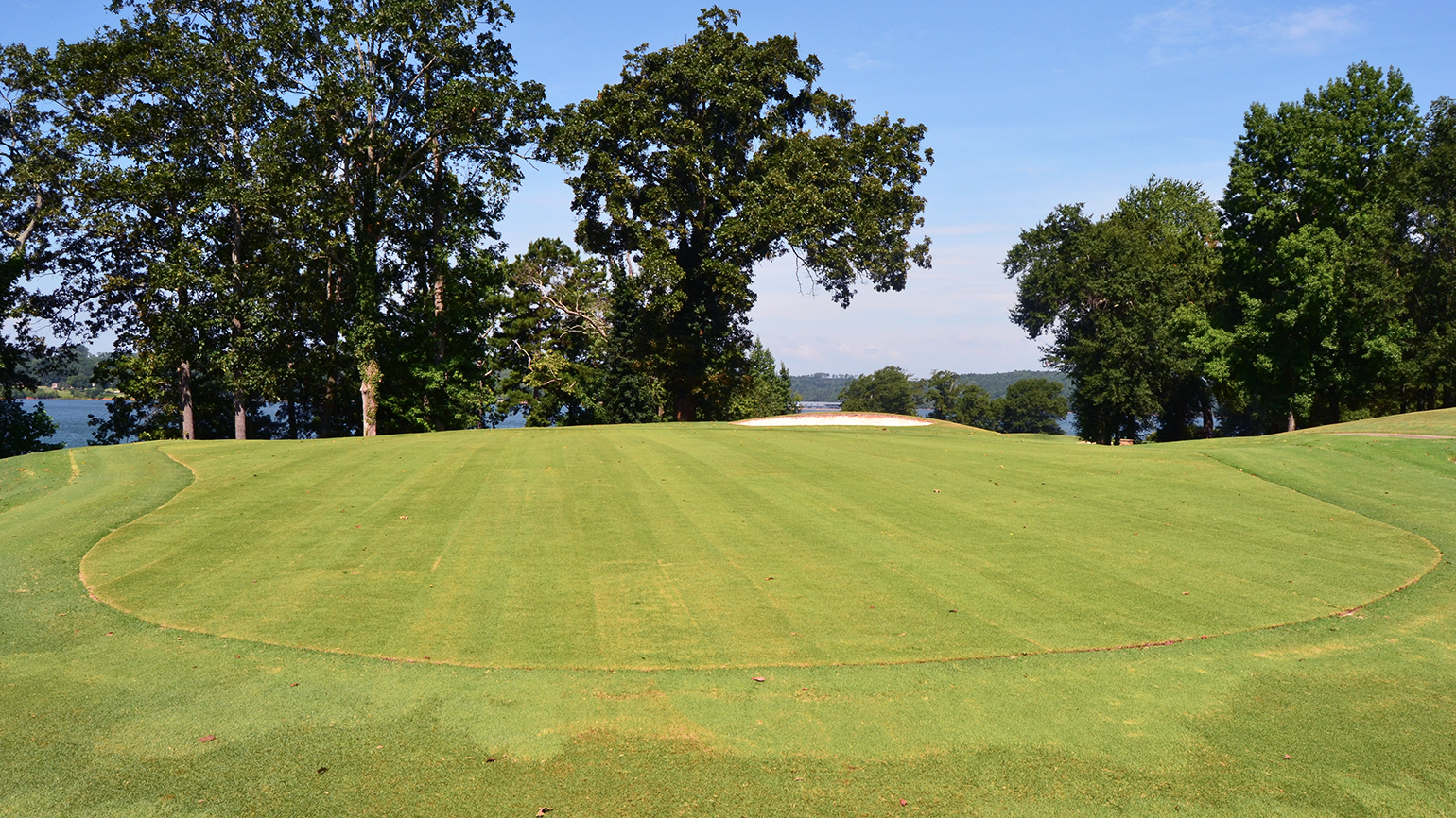 Converting Bentgrass Putting Greens To Diamond Zoysiagrass