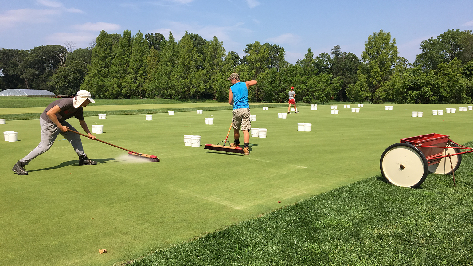 Benefits Of Light And Frequent Topdressing