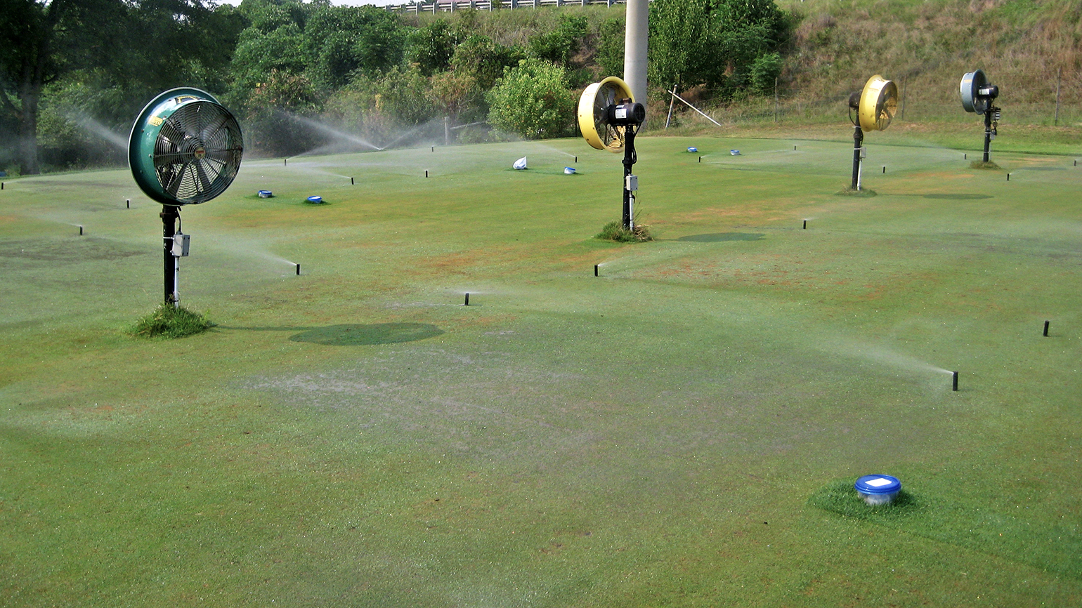 Cooling Creeping Bentgrass Putting Greens