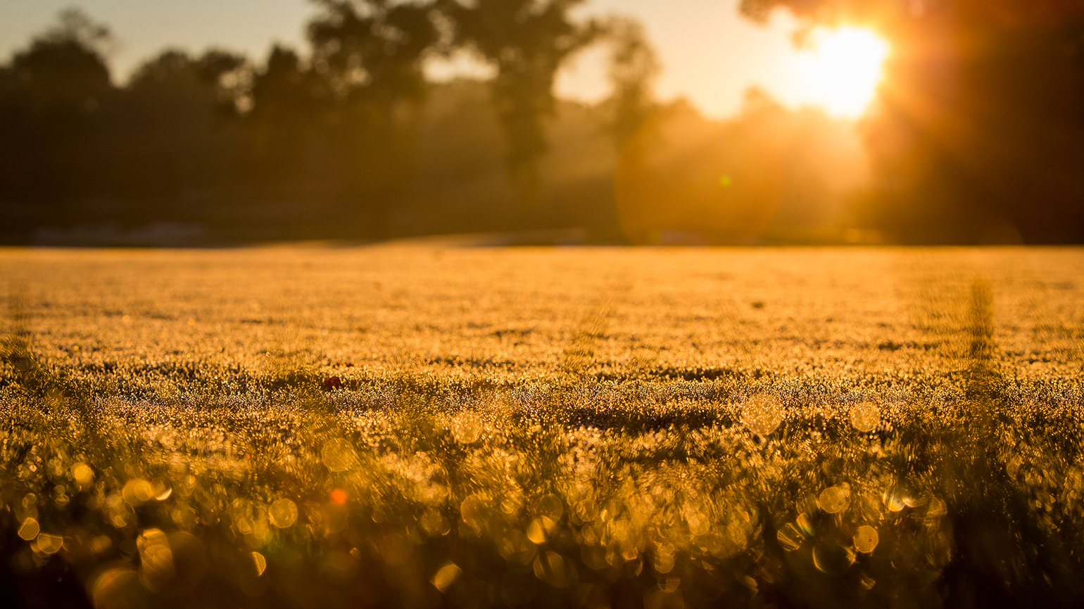 Unlock The Value Of Growth Potential Graphs