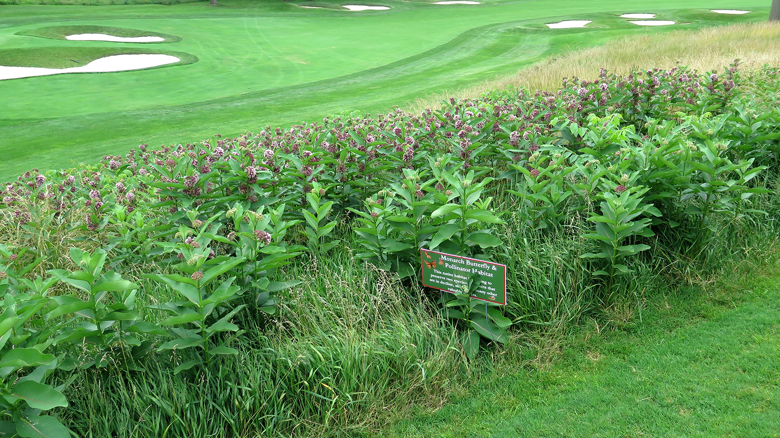 The Value Of Native Areas