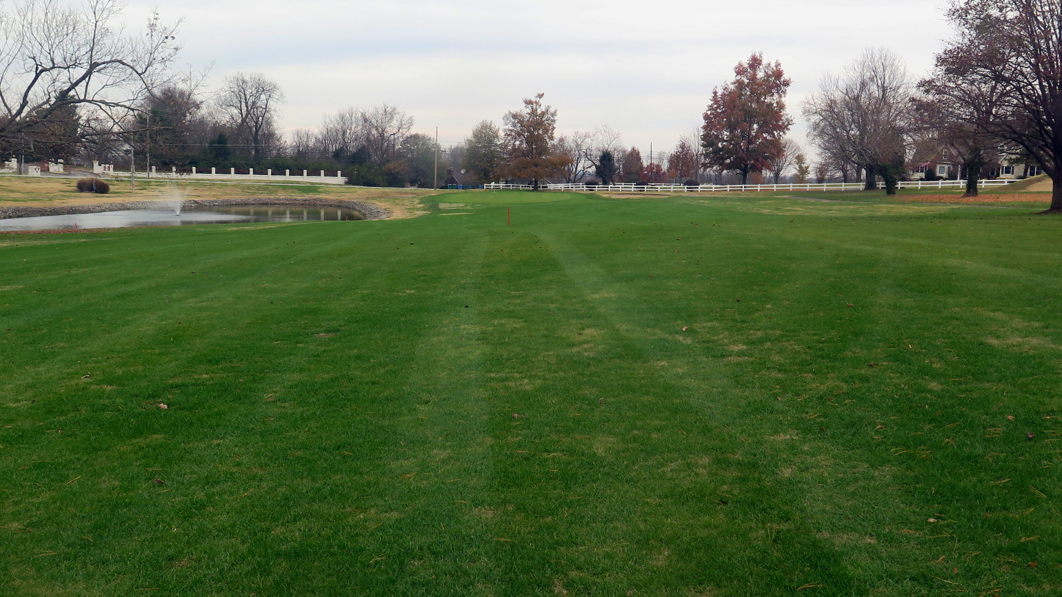 How To Establish "Bluemuda" Fairways