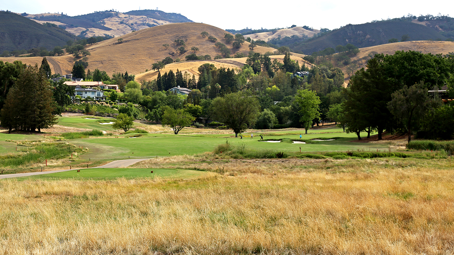 Selecting and Establishing Native Grasses for Out-of-Play Areas