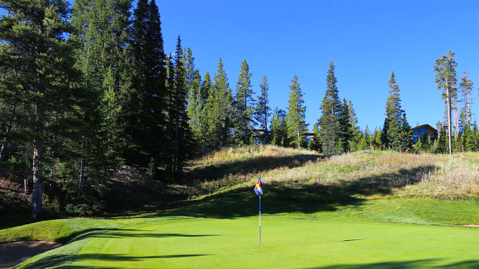 Managing Trees On Golf Courses