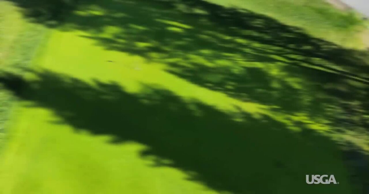 Managing Trees on Golf Courses