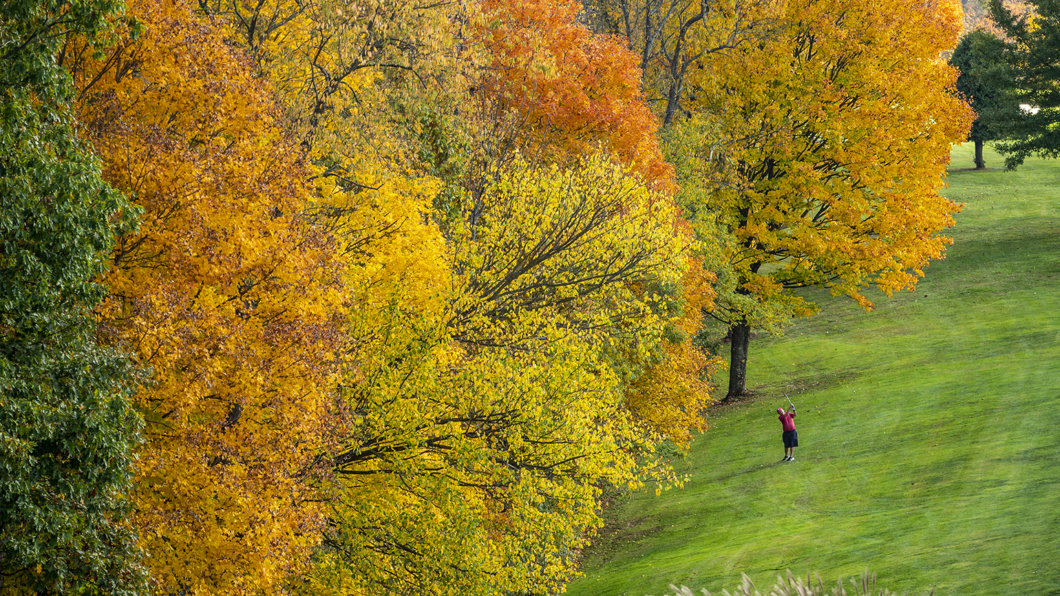 USGA Rules Team Guide to Fall Golf
