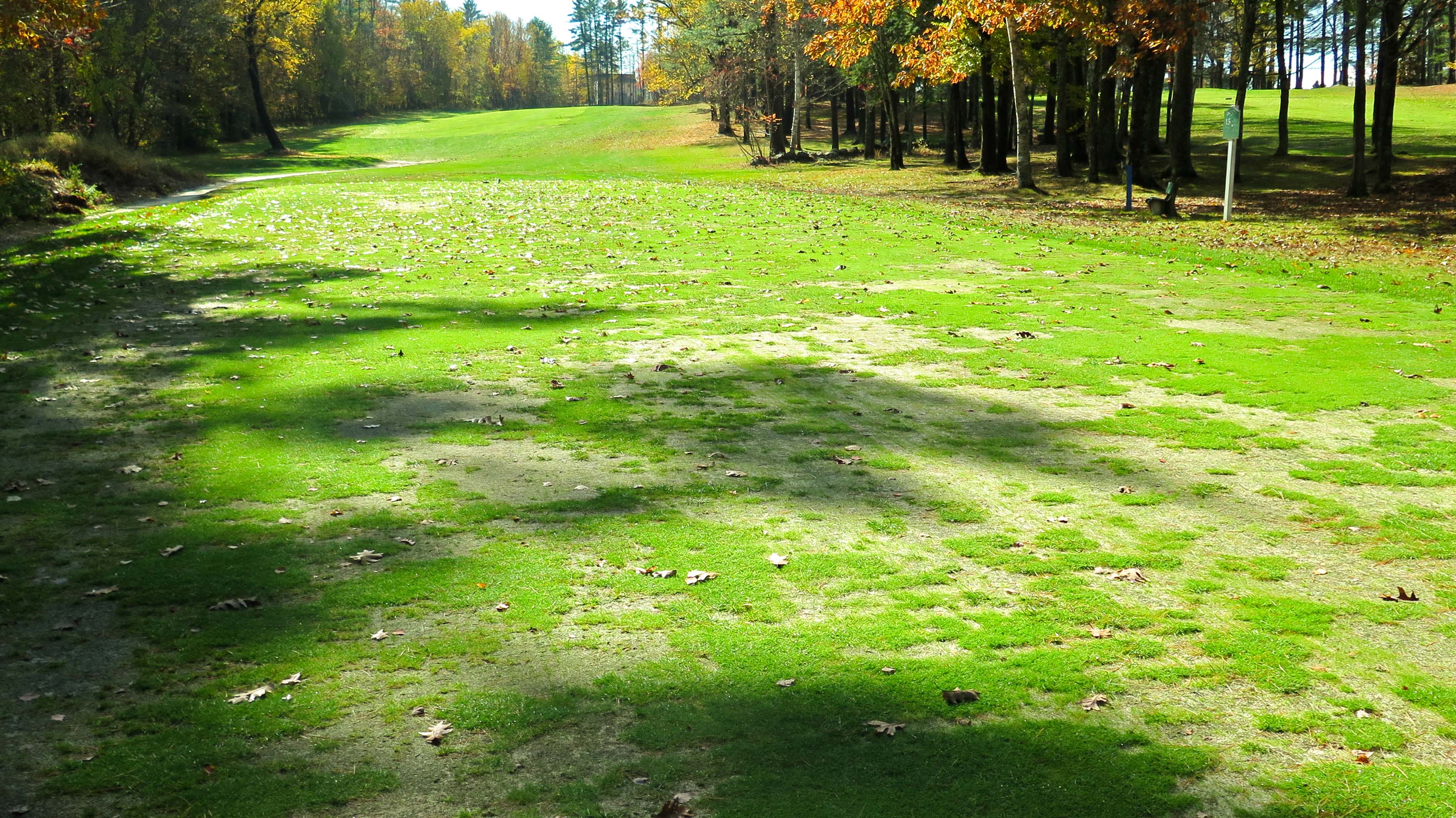 How to Ruin a Golf Course With Trees