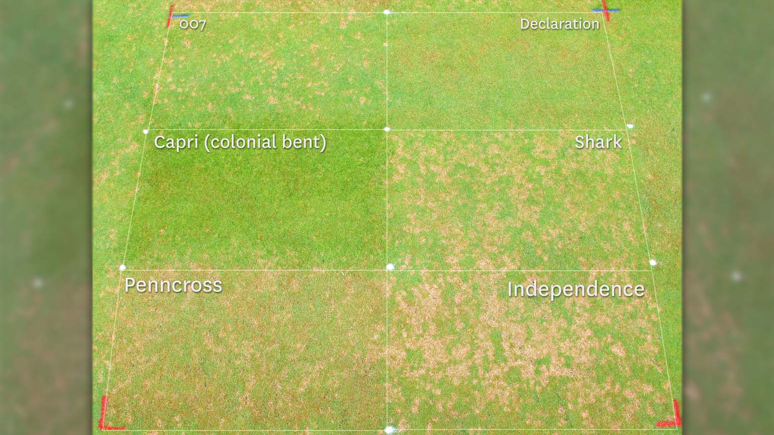 A Better Way To Spray? Improving a Dollar Spot Forecast Model
