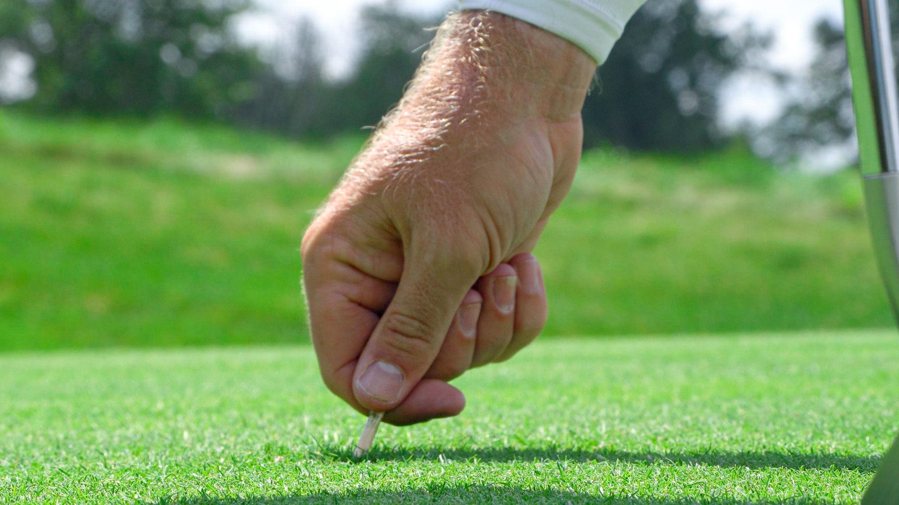 Ball Mark Repair Done Right